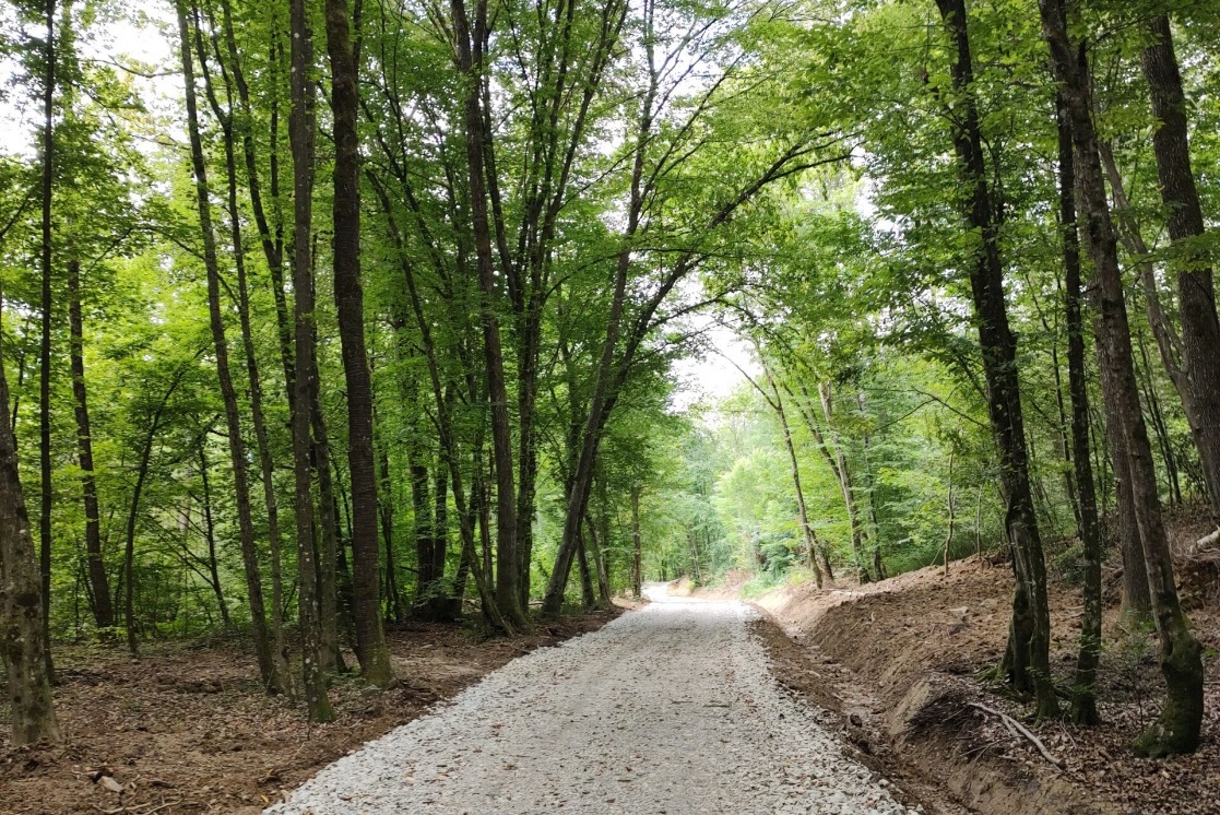 Održavanje šumskih cesta na području Općine Karojba | Općina Karojba